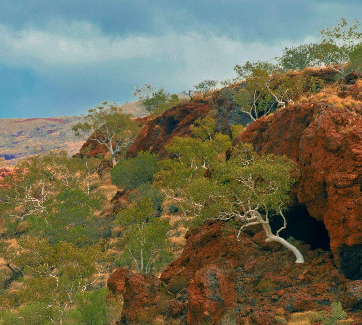 The PKKP Journey - PKKP Aboriginal Corporation