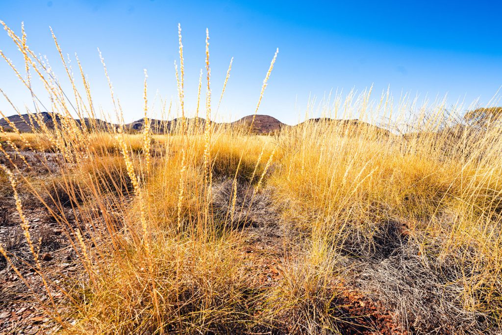Our Team - PKKP Aboriginal Corporation