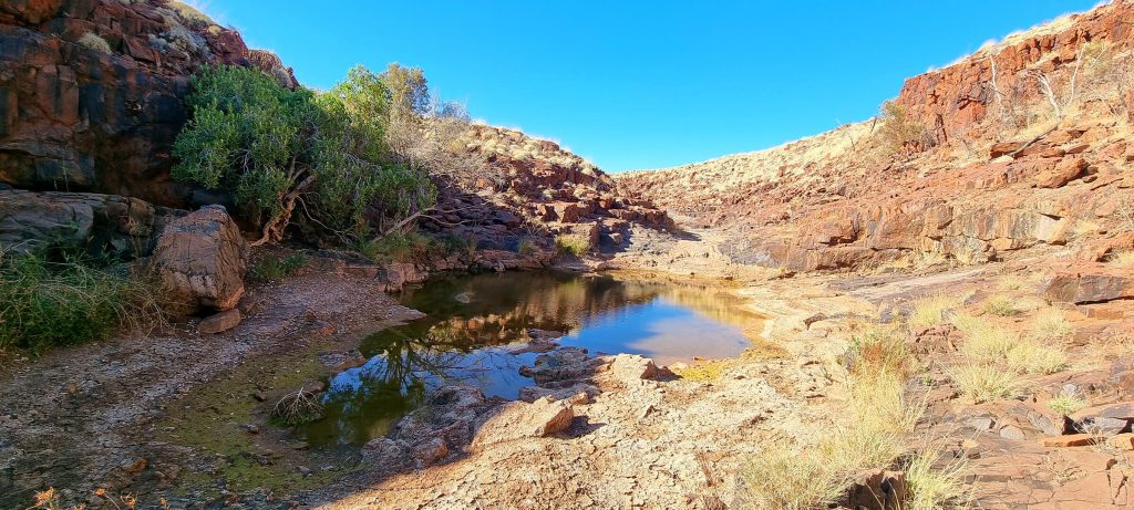 About PKKP - PKKP Aboriginal Corporation